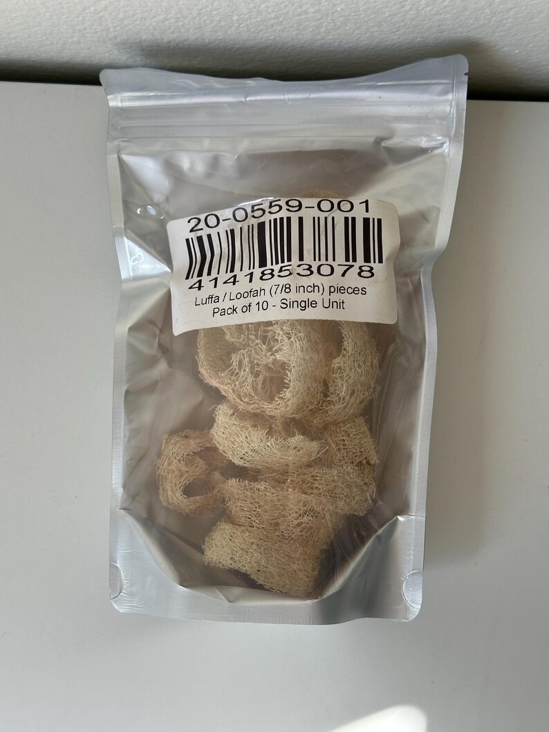 Luffa / Loofah (7/8 Inch Slice), Pack of 10pcs - Etsy