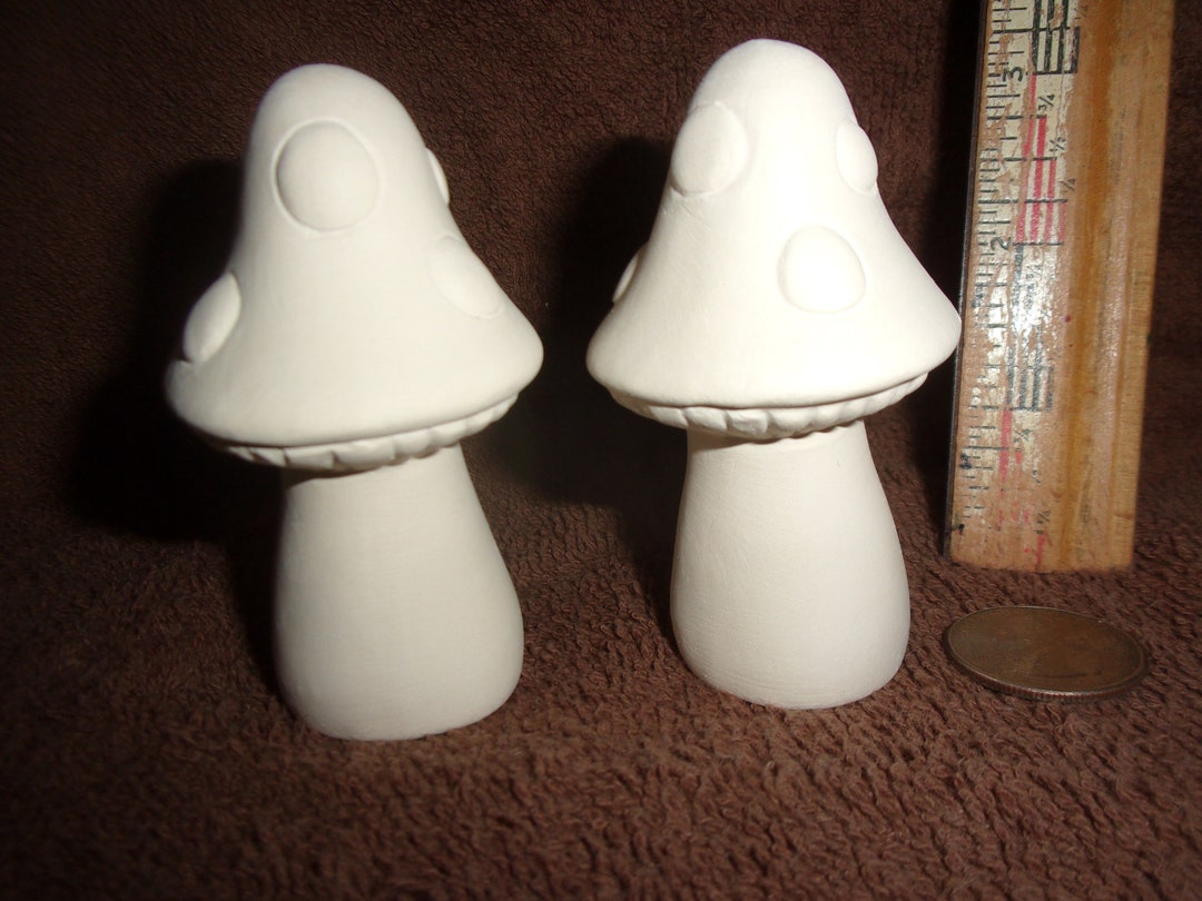 Two Cute Mushroom in Ceramic Bisque Ready to Be Painted Mushroom Fungi ...