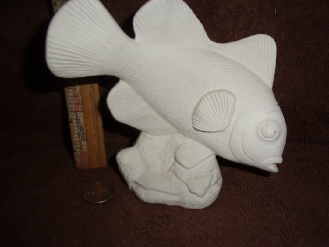 Pretty Fish in Ceramic Bisque Ready for You to Paint Fishes Beach Ocean ...