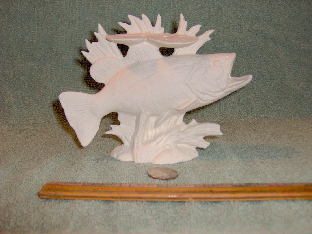Pretty Bass Fish With Plants in Ceramic Bisque Ready for You to Paint ...
