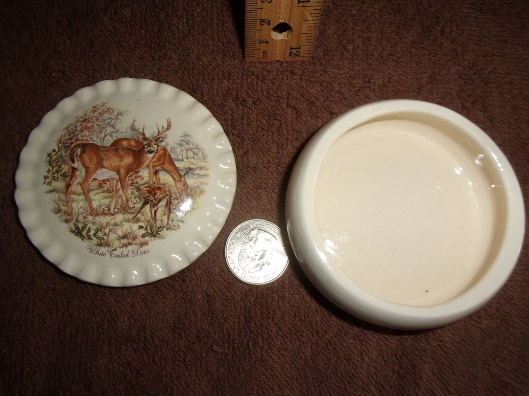 Round Ceramic Trinket Box With a Deer Family on Top, Buck, Doe, Fawn ...