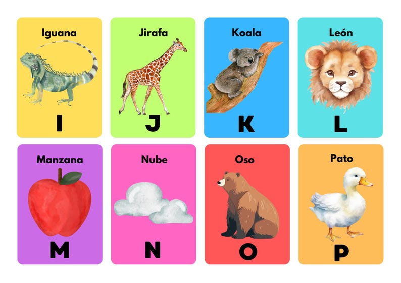 Spanish Animal Alphabet Flashcards for Kids, Printable Digital Learning ...