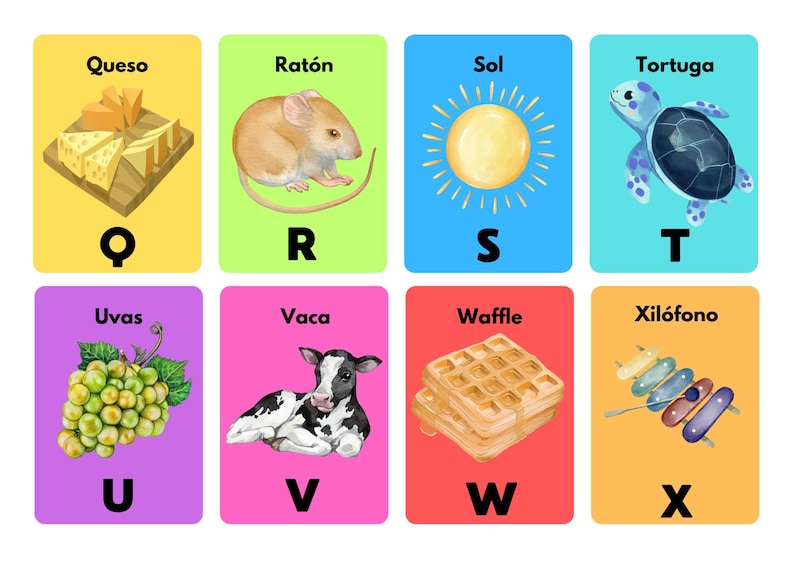 Spanish Animal Alphabet Flashcards for Kids, Printable Digital Learning ...