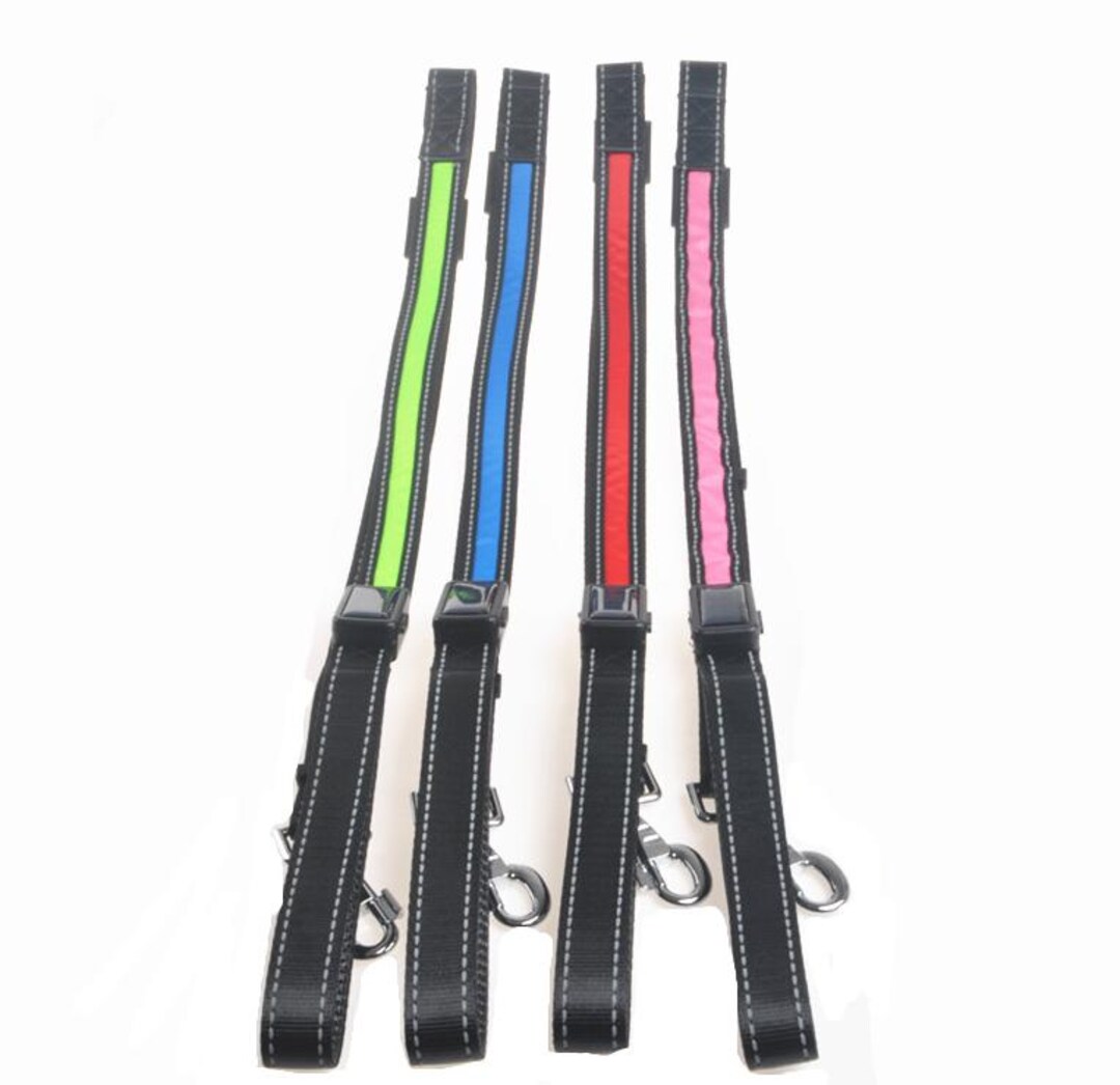 Light Leash Dogs-rechargeable LED Light Glowing Leash for Dogs ...