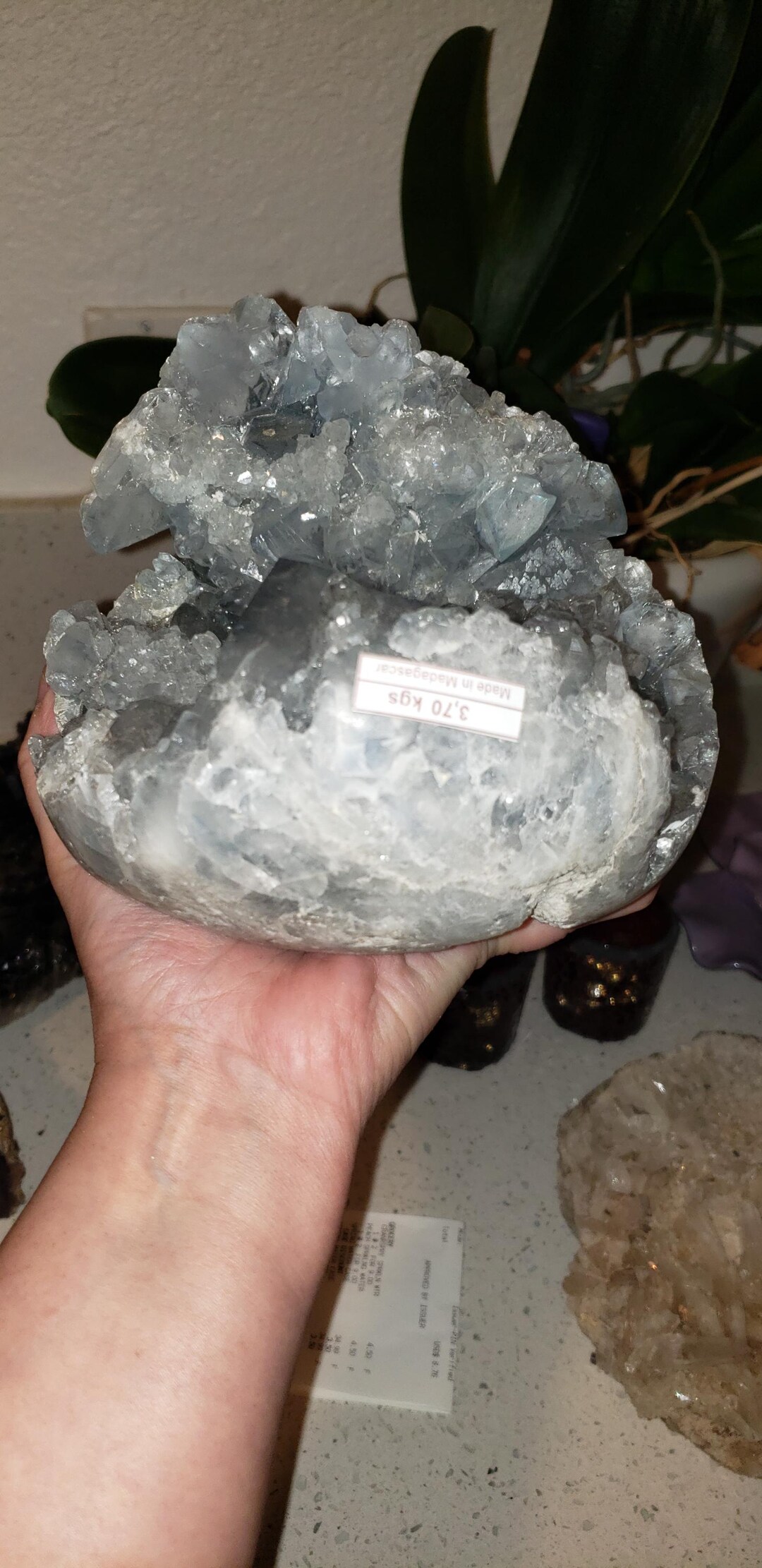 XL Blue Celestite Sphere Phantom Gemmy Celestite Geode Raw High Quality ...
