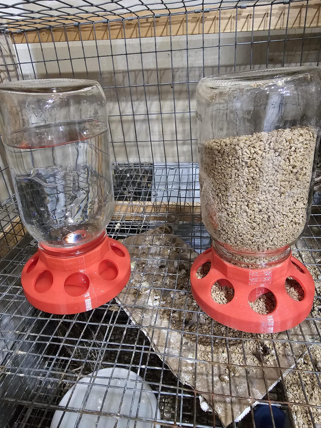 Quail Feeder - Quail Waterer - Etsy