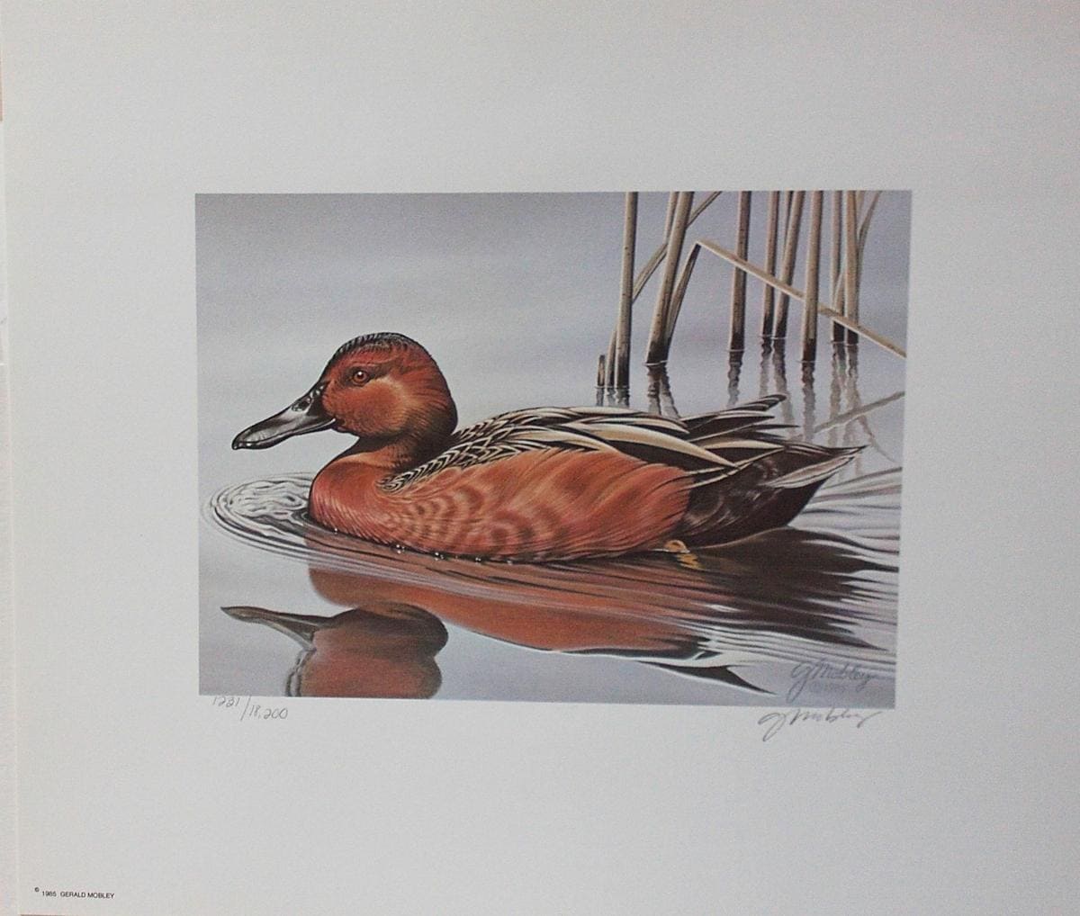 1985 Federal Duck Stamp Print. Wall Art, Home Decor, Wildlife, Birds ...
