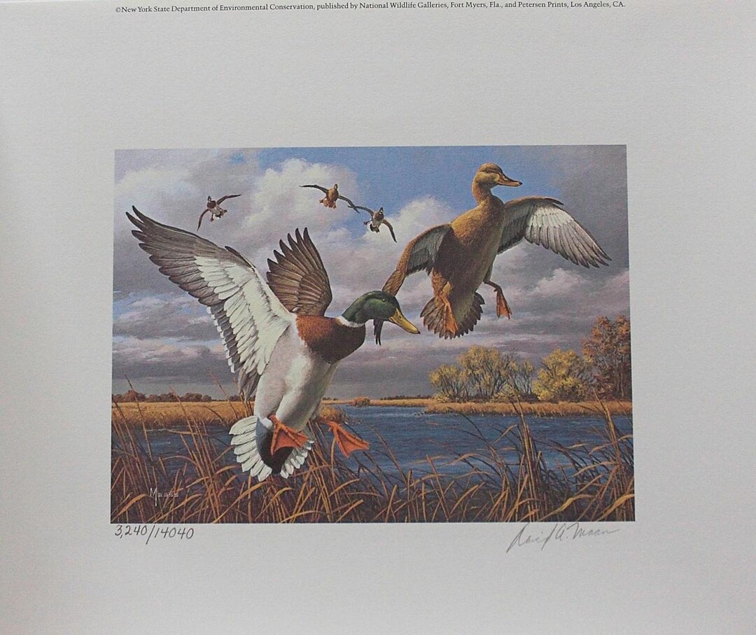 1986 New York 2nd of State Duck Stamp Print Wall Art, Home Decor ...