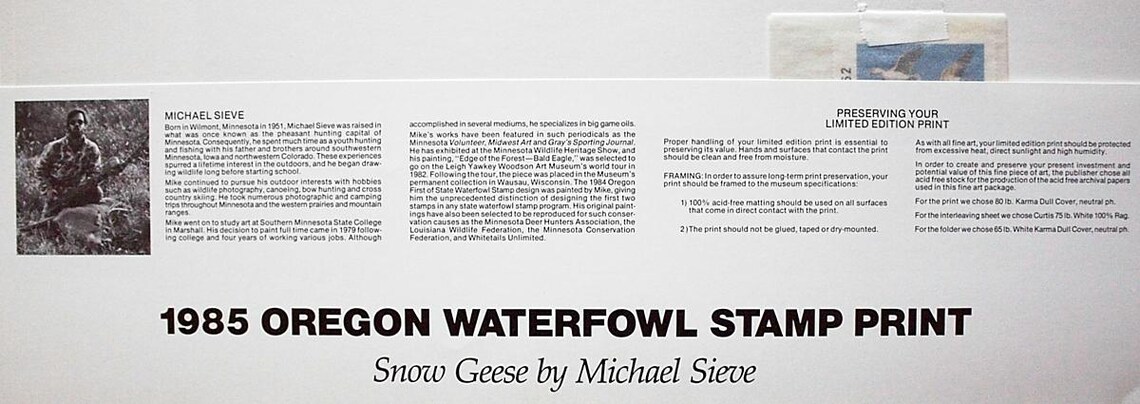 1985 Oregon Second in Series of State Duck Stamp Prints. Wall Art, Home ...