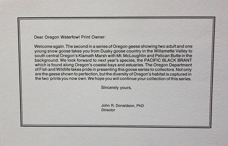 1985 Oregon Second in Series of State Duck Stamp Prints. Wall Art, Home ...