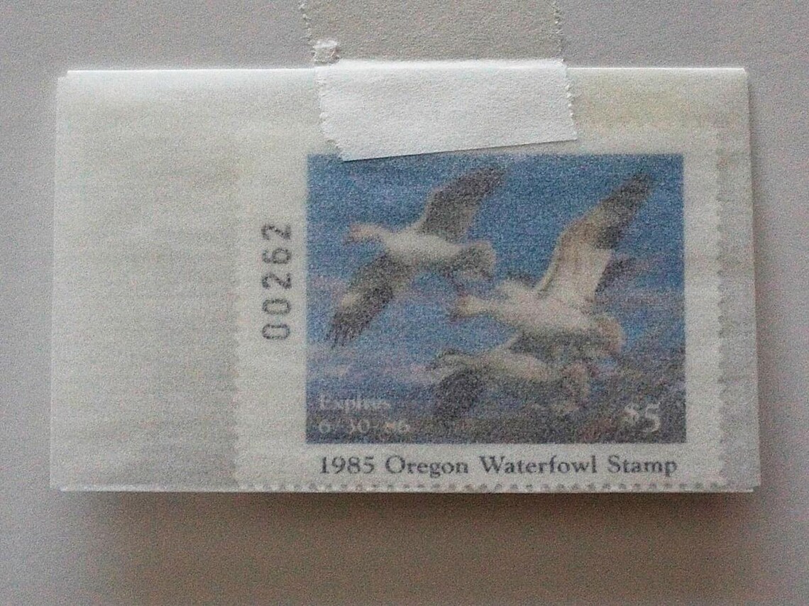 1985 Oregon Second in Series of State Duck Stamp Prints. Wall Art, Home ...