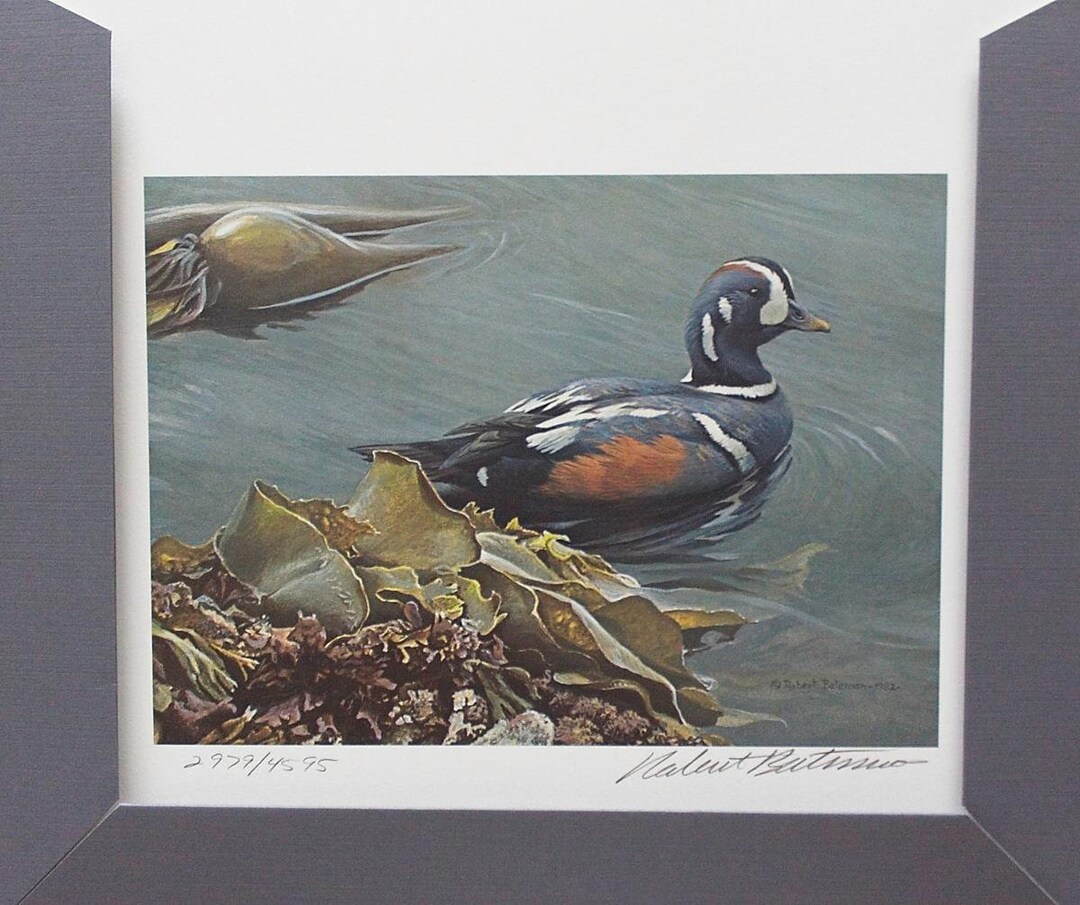 1988 Washington 3rd of State Duck Stamp Print Wall Art, Home Decor ...