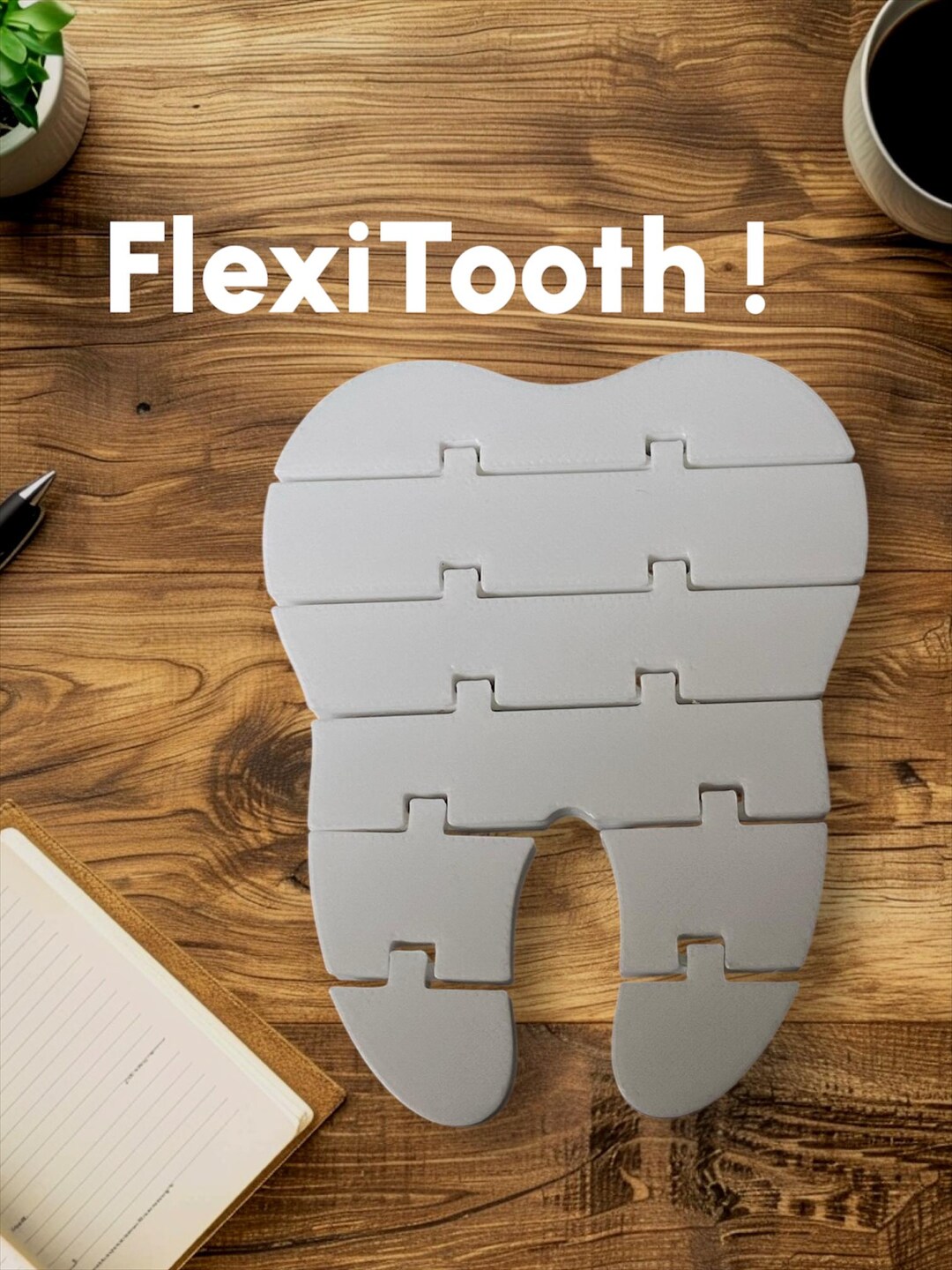 Flexi Tooth Fidget Toy - Articulated Tooth for Dental Offices, Dentist ...