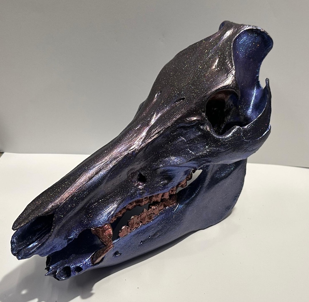 Painted Animal Skull - Custom Hand Painted Pig Skull, Authentic One of ...