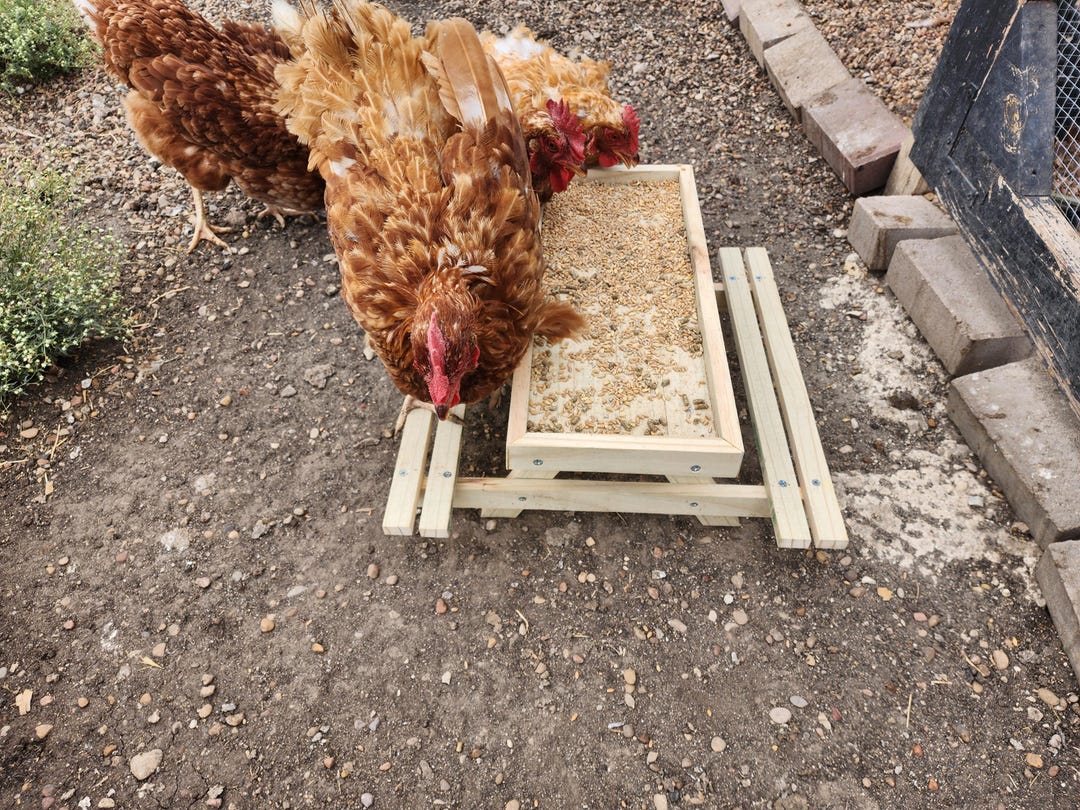 Chic-nic Chicken Feeder Farmhouse - Etsy