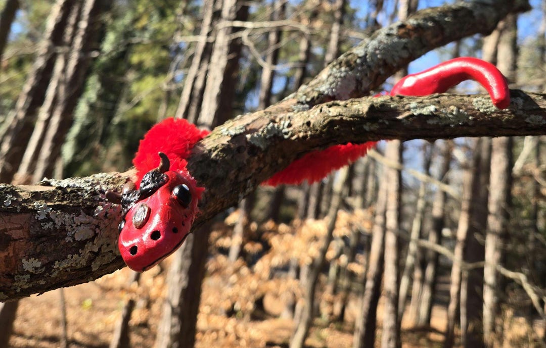 Red Horned Snake - Etsy