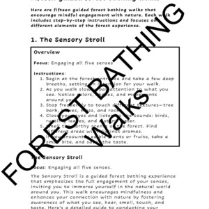 Fifteen Guided Forest Bathing Walks: Mindful Engagement With Nature - Etsy