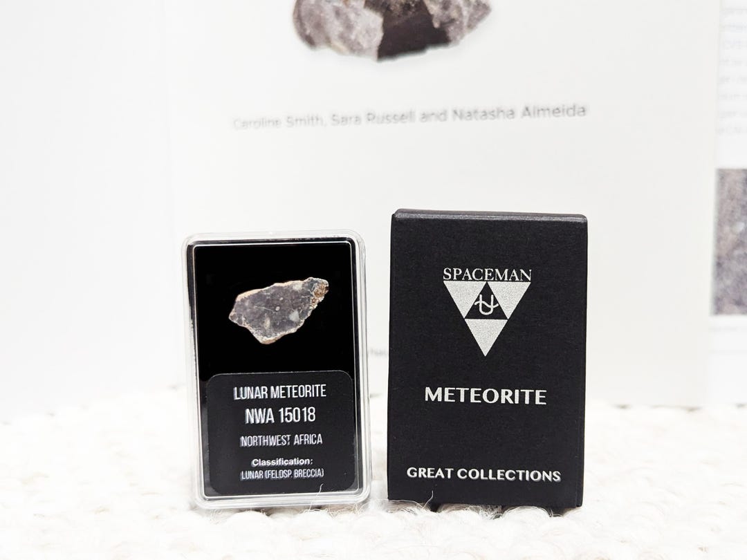 NWA 15018 Lunar Meteorite, Authentic Moon Rock, Rare Certified Specimen ...