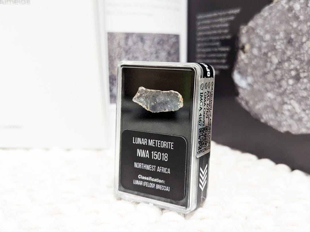 NWA 15018 Lunar Meteorite, Authentic Moon Rock, Rare Certified Specimen ...
