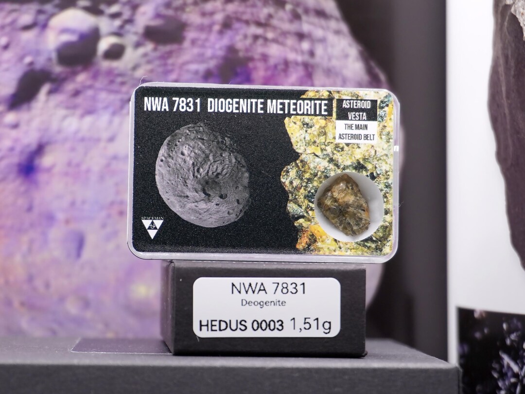 Authentic NWA 7831 Diogenite Meteorite – Own a Unique Fragment of Our ...