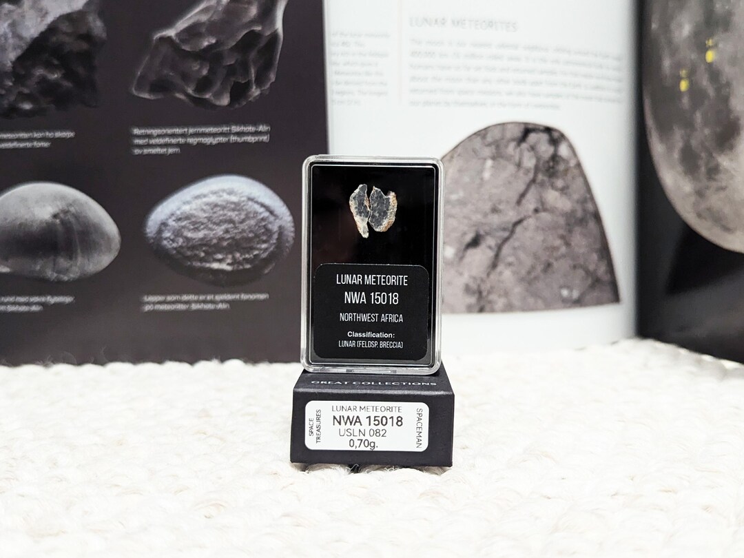 NWA 15018 Lunar Meteorite, Authentic Moon Rock, Rare Certified Specimen ...