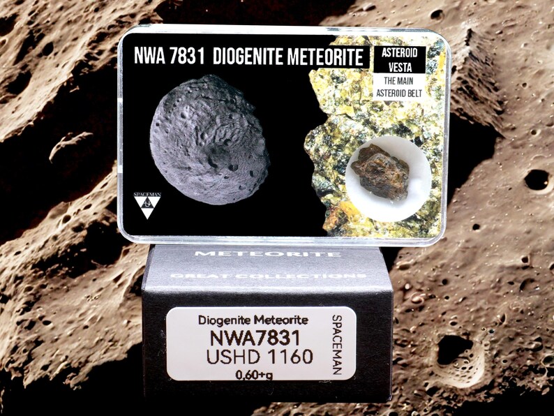 NWA 7831 Diogenite Meteorite ,rare Vesta Asteroid Fragment, Certified ...