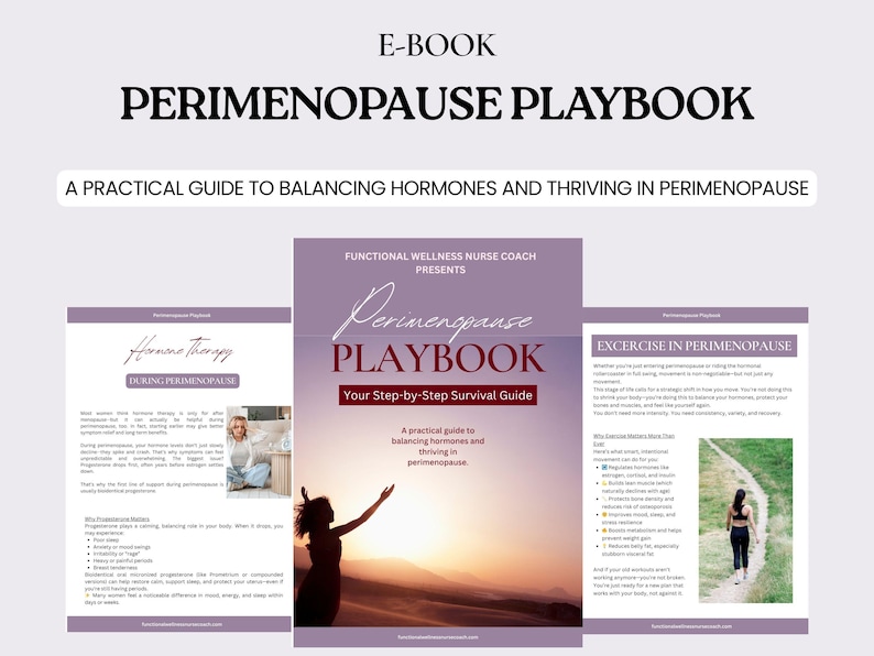 Perimenopause Playbook: Your Complete Guide to Thriving During the ...