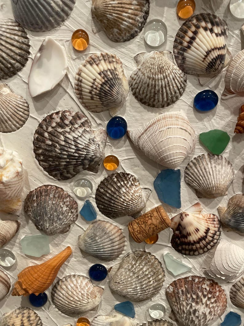 Seashell Wall Art - Etsy