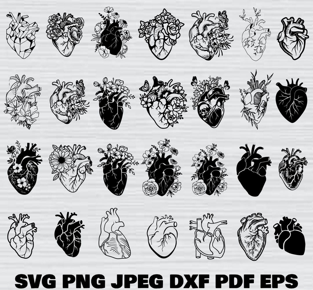 Anatomical Heart Svg Bundle, Human Heart Svg, Heart Svg Bundle ...