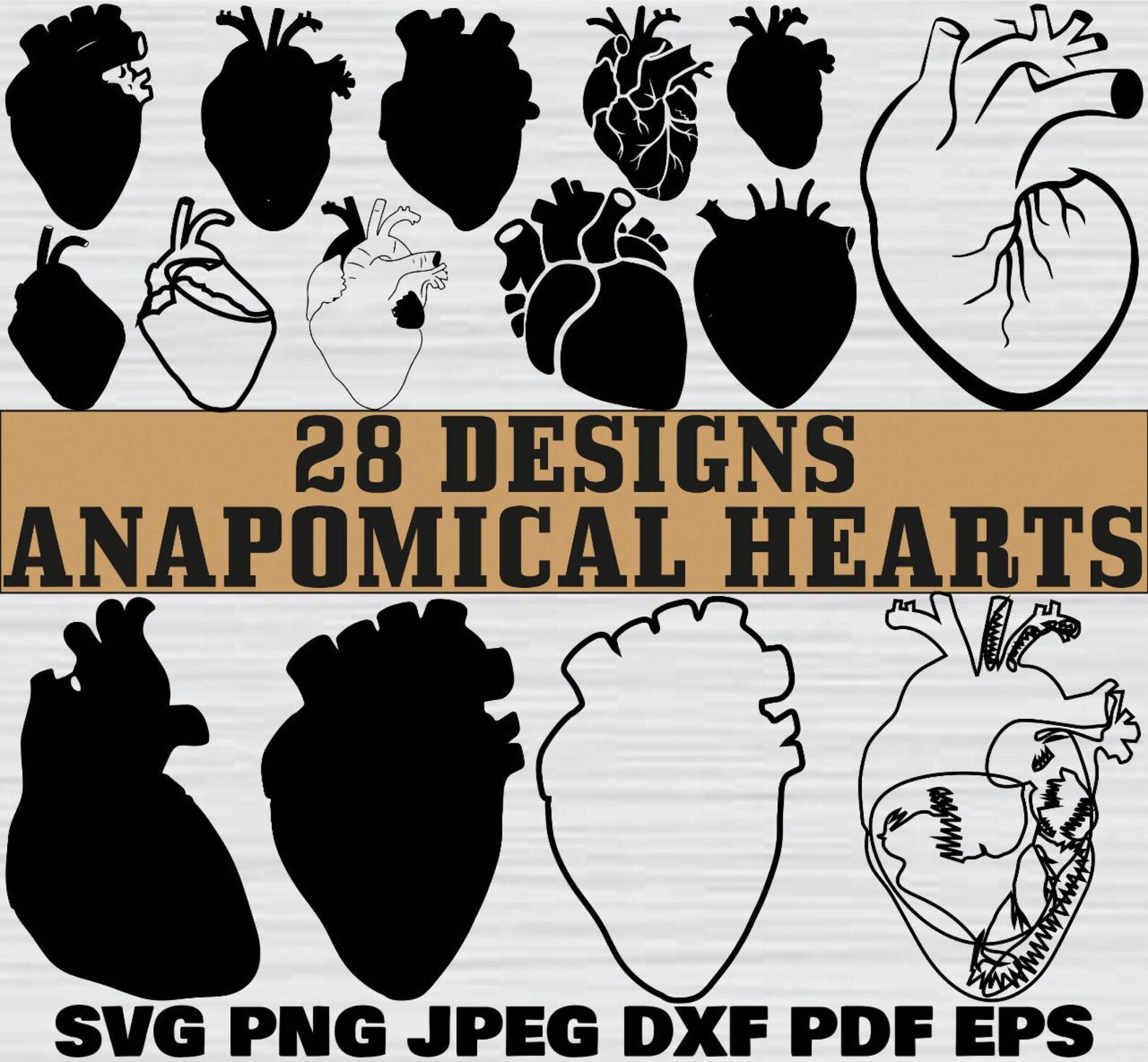 Anatomical Heart Svg Bundle, Human Heart Svg, Heart Svg Bundle ...