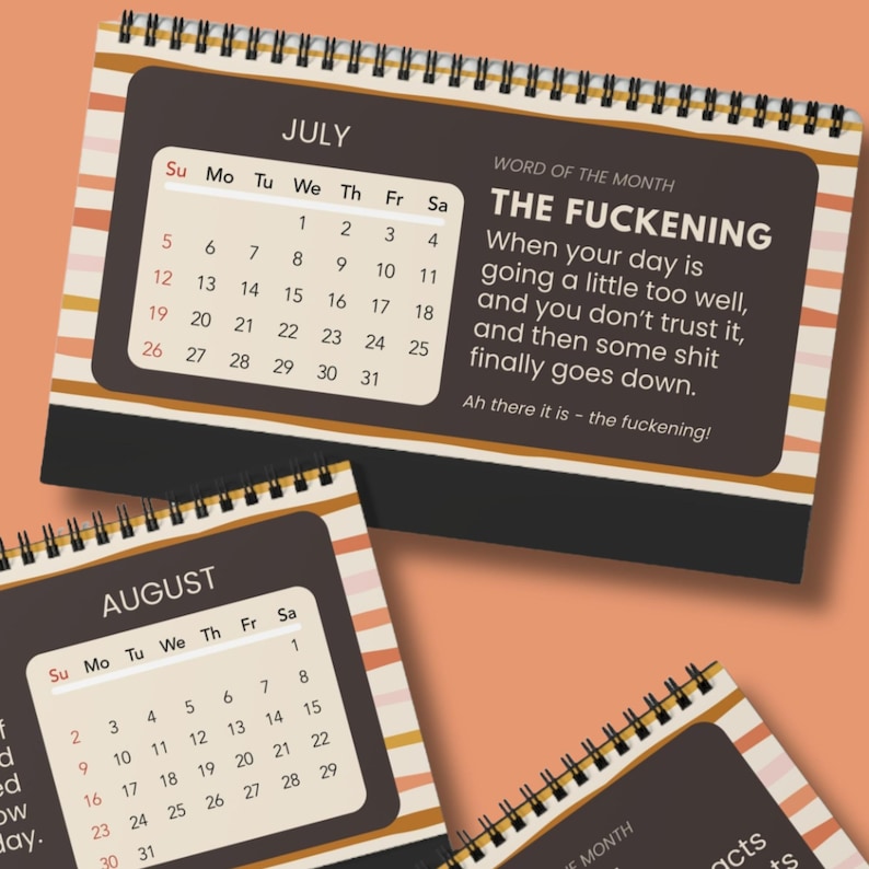 Funny Monthly Planner 2026 Calendar Desktop Calendar Inappropriate Word ...