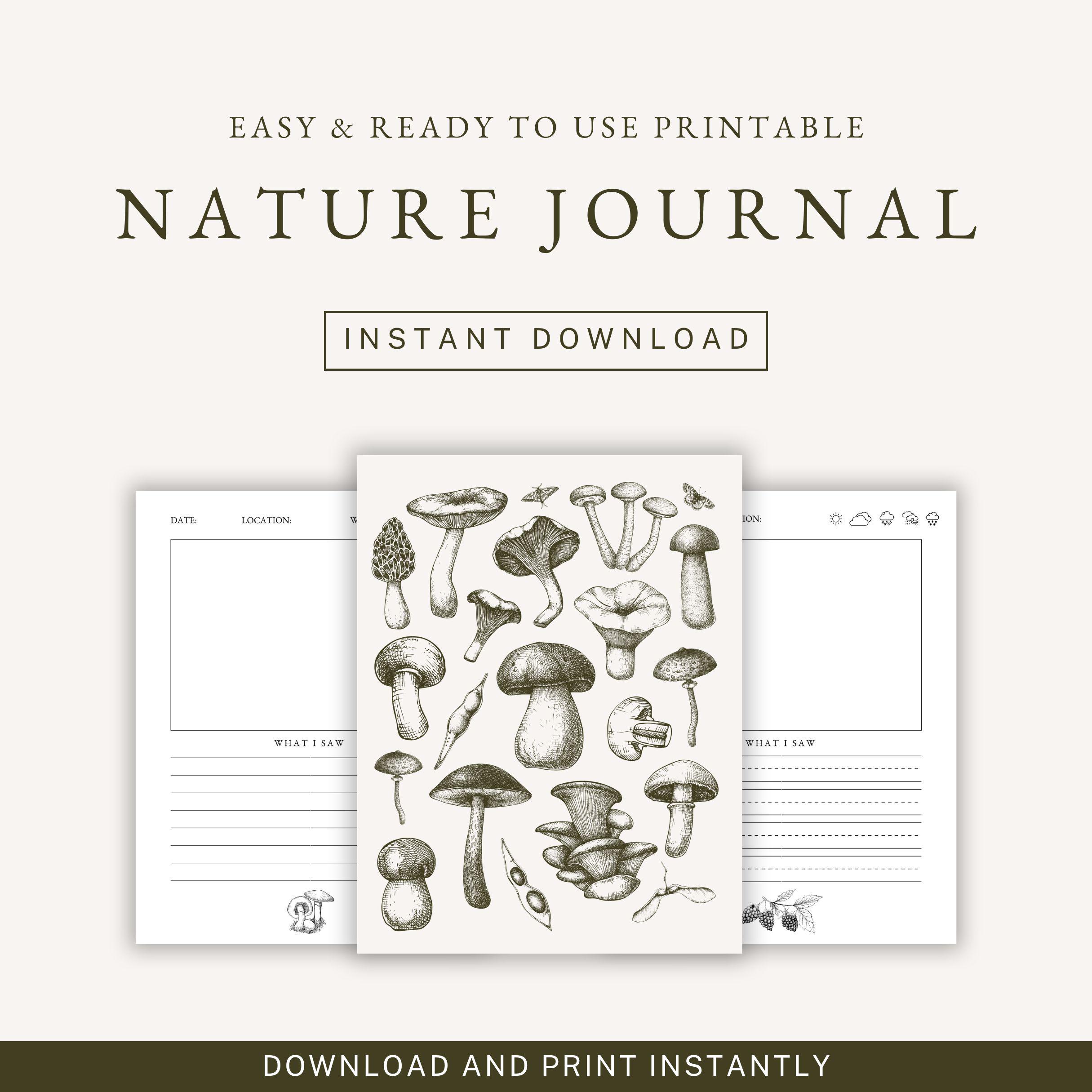 Nature Journal | Field Notes | Homeschool Notebook | Charlotte Mason ...