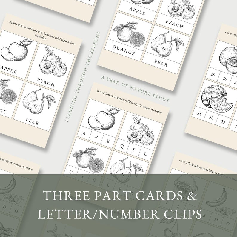 Apple Unit Study | Charlotte Mason | Nature Study | Printable ...