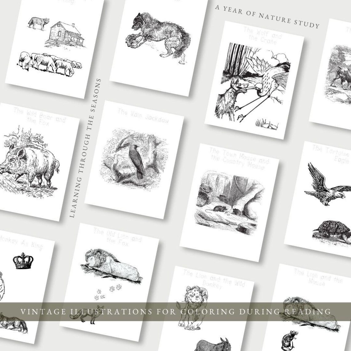 Aesop's Fables Copywork | Charlotte Mason Homeschool | Penmanship and ...