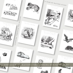 Aesop's Fables Copywork | Charlotte Mason Homeschool | Penmanship and ...