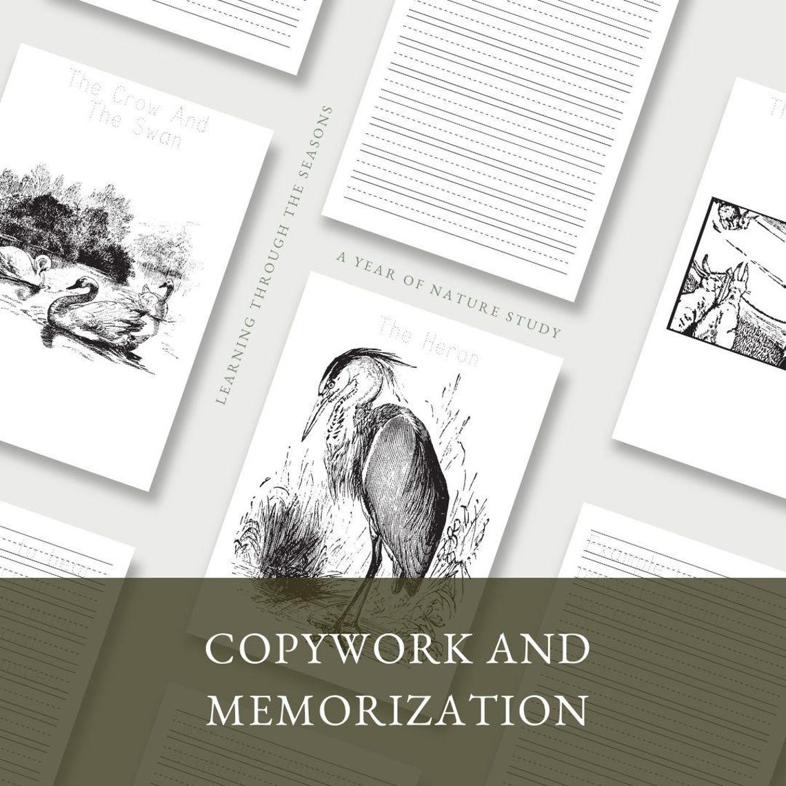 Aesop's Fables Copywork | Charlotte Mason Homeschool | Penmanship and ...