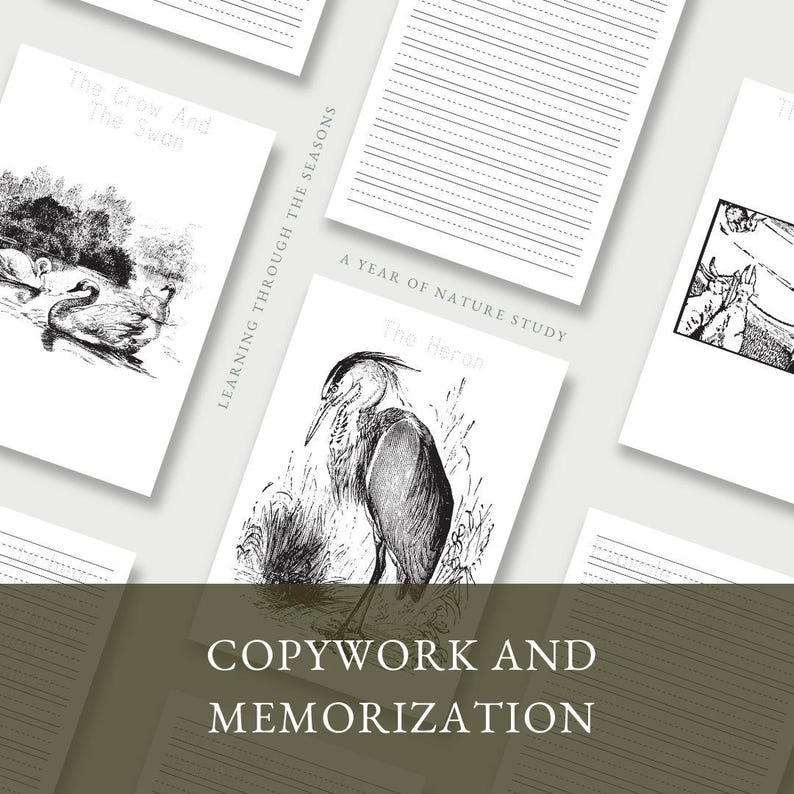 Aesop's Fables Copywork | Charlotte Mason Homeschool | Penmanship and ...