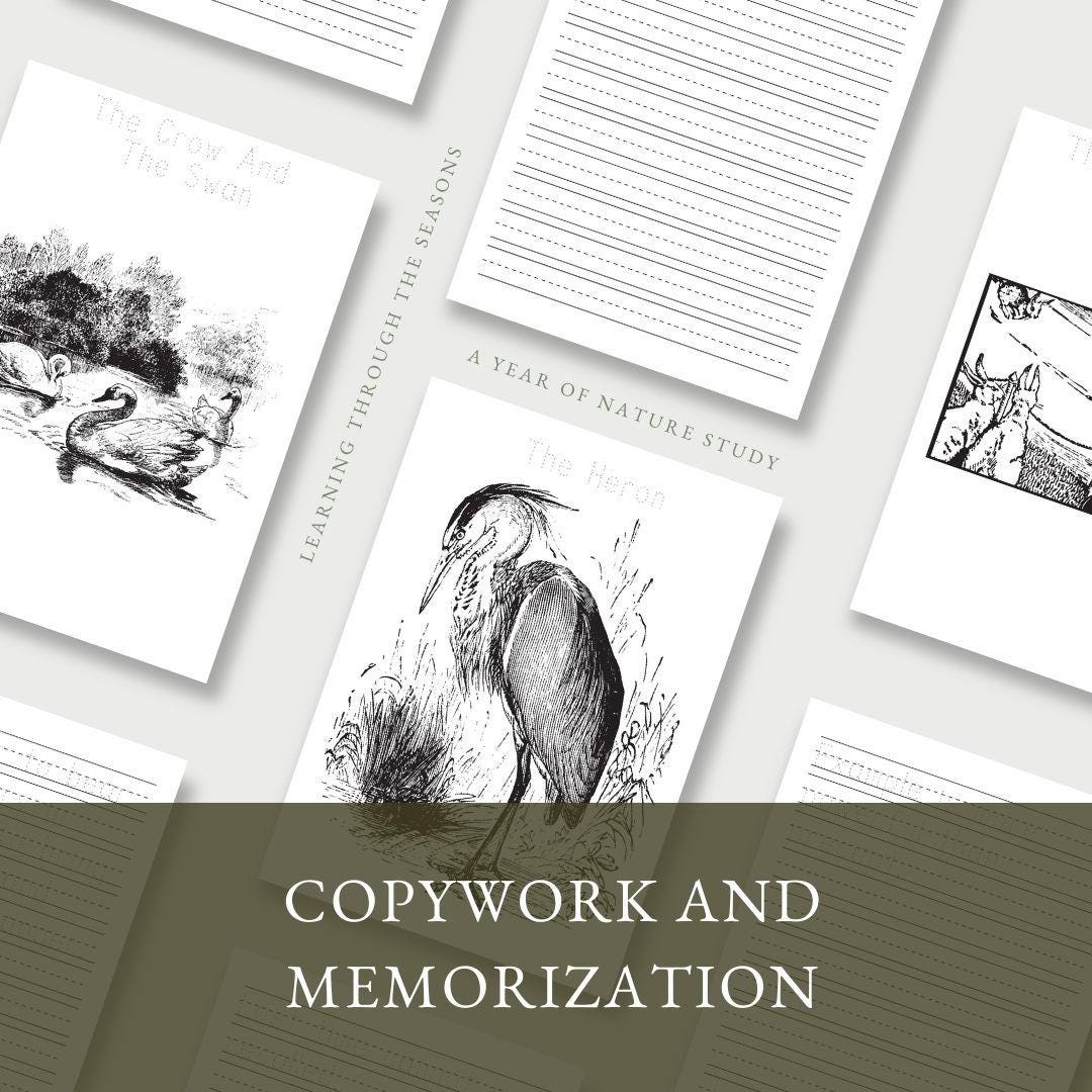 Aesop's Fables Copywork | Charlotte Mason Homeschool | Penmanship and ...