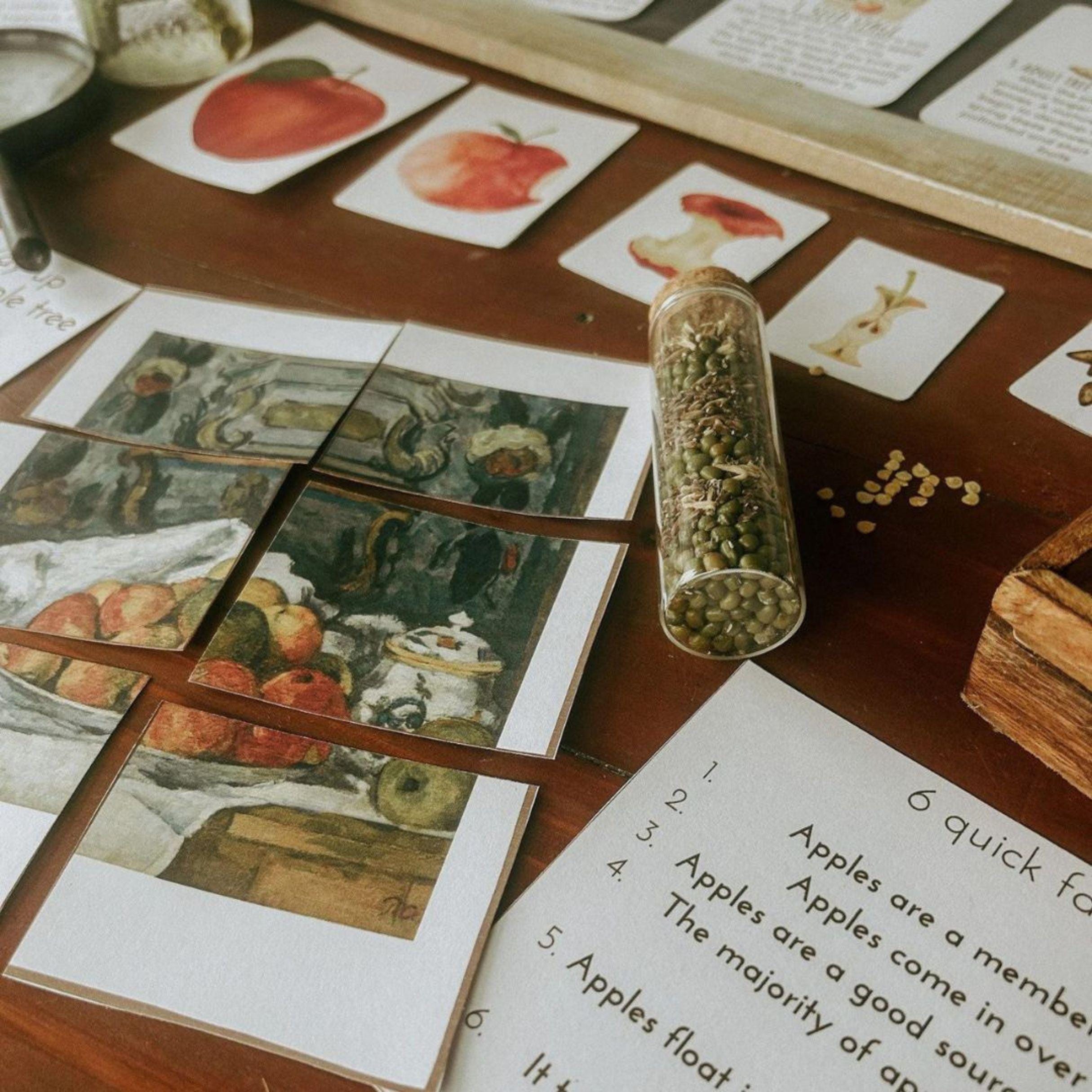 Apple Unit Study | Charlotte Mason | Nature Study | Printable ...