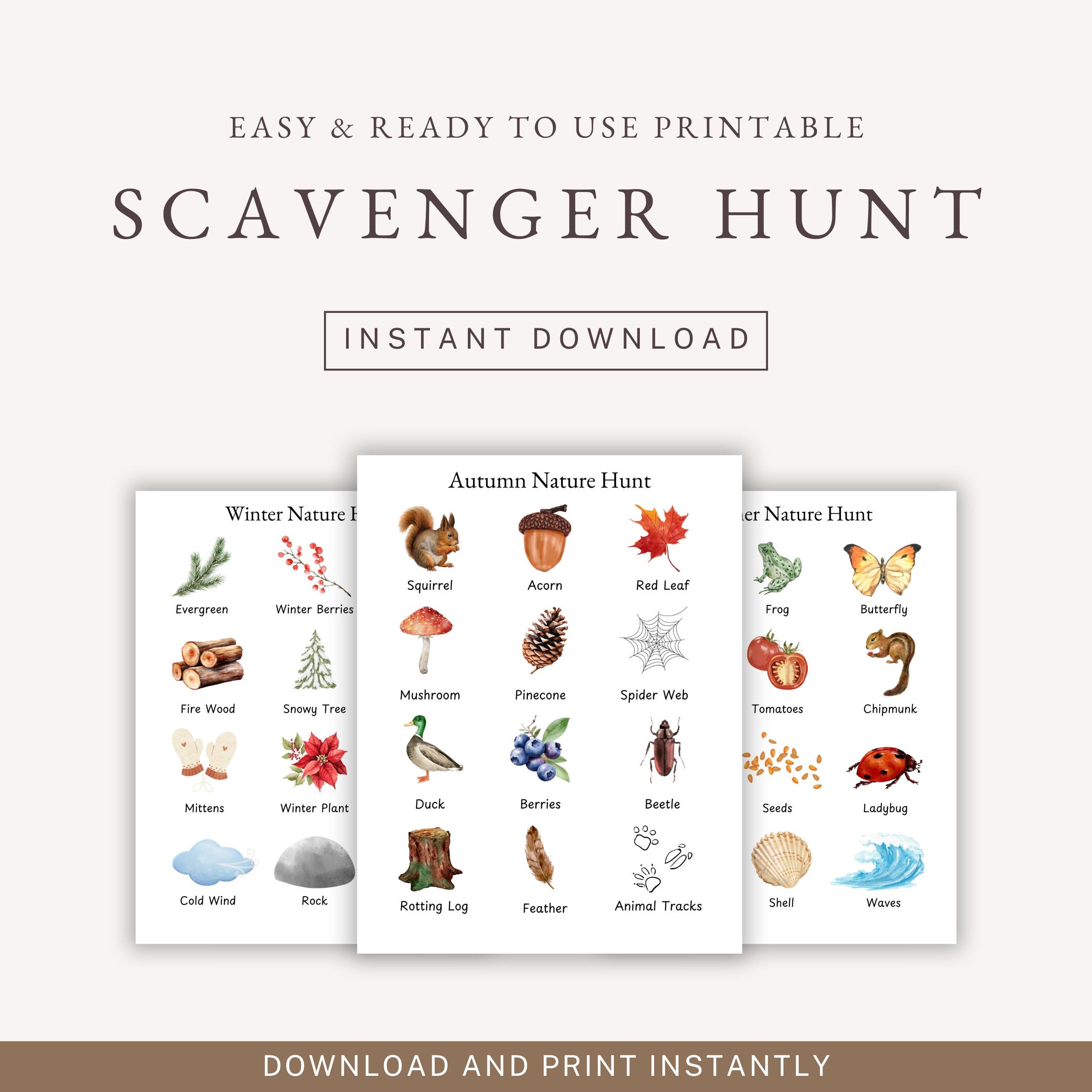 Nature Scavenger Hunt | Seasonal Nature Study | Outdoor Activities for ...