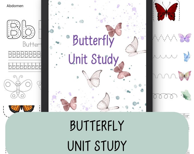 Anatomy of a Butterfly • Montessori Printable • Butterfly Study • Busy ...