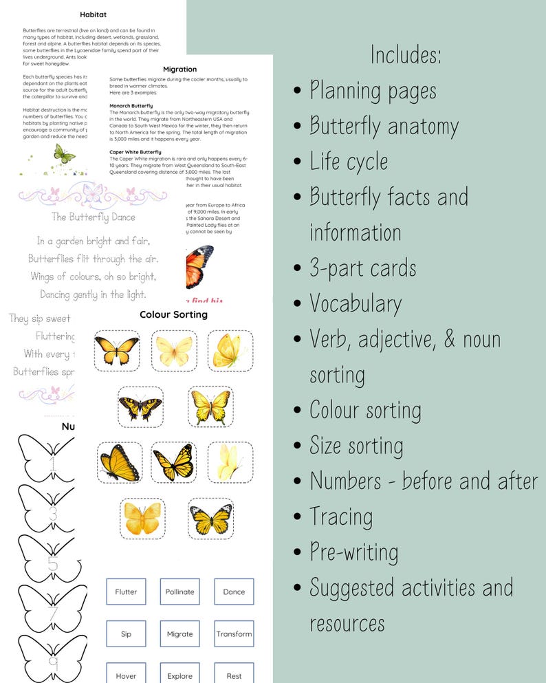 Butterfly Unit Study, Butterfly Printable, Butterfly Activity, Kids ...