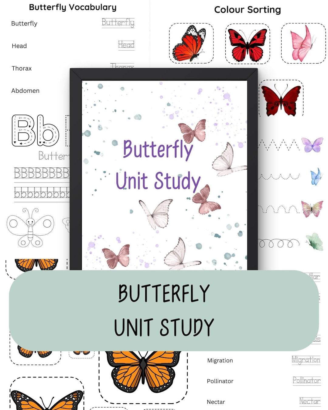 Butterfly Unit Study, Butterfly Printable, Butterfly Activity, Kids ...