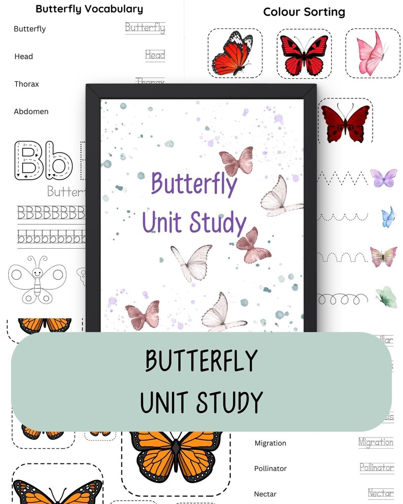 Butterfly Unit Study, Butterfly Printable, Butterfly Activity, Kids ...