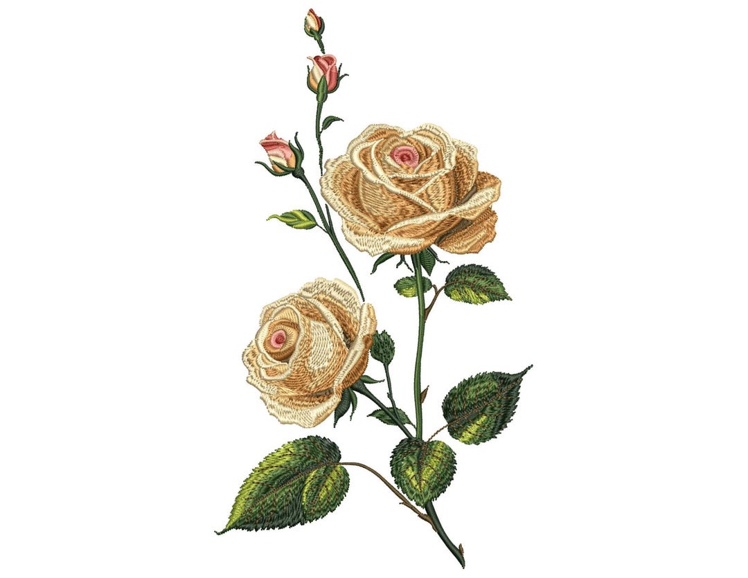 Elegant Vintage Rose Embroidery Design, Realistic Rose Machine ...