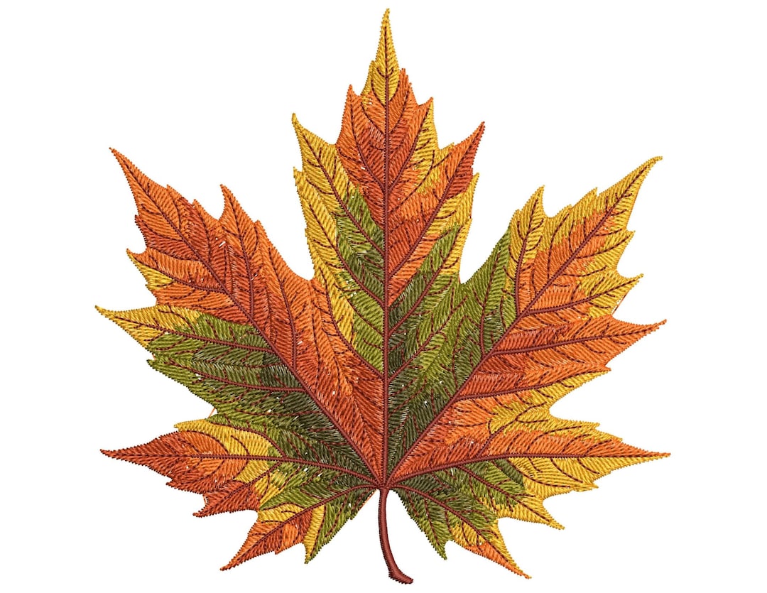 Autumn Maple Leaf Embroidery Design, Perfect for Fall Home Decor ...