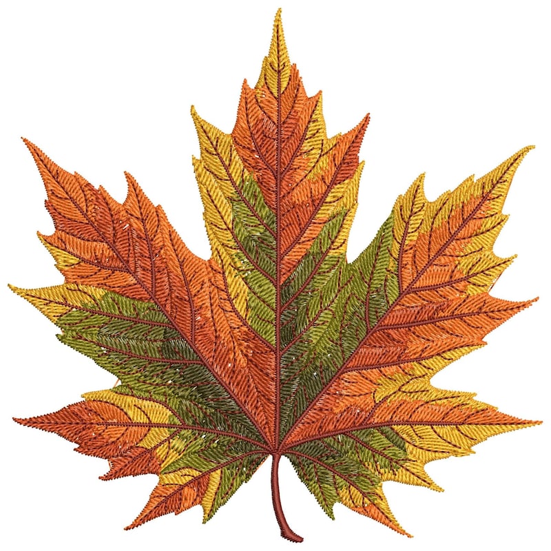 Maple Leaf Design - Etsy