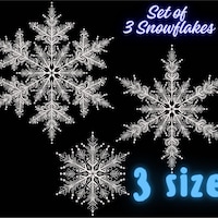 Snowflakes Study Activity Christmas Activities for Kids Montessori ...
