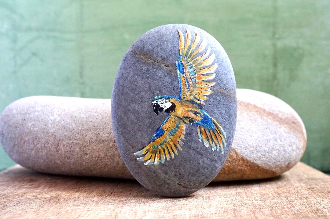 Hand Painted Macaw Pebble Art: Blue & Yellow Parrot Rock Painting - Etsy