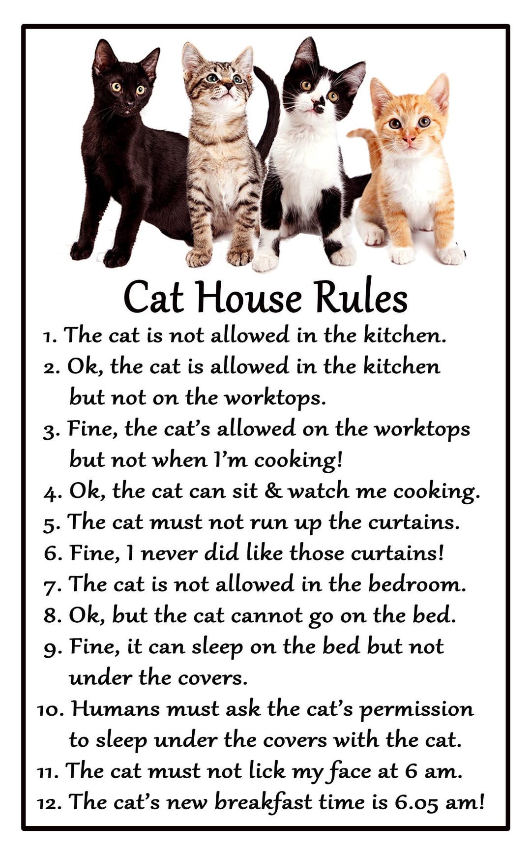 Funny Cat House Rules Fridge Magnet - Novelty Gift (6x4 Inch) - Etsy